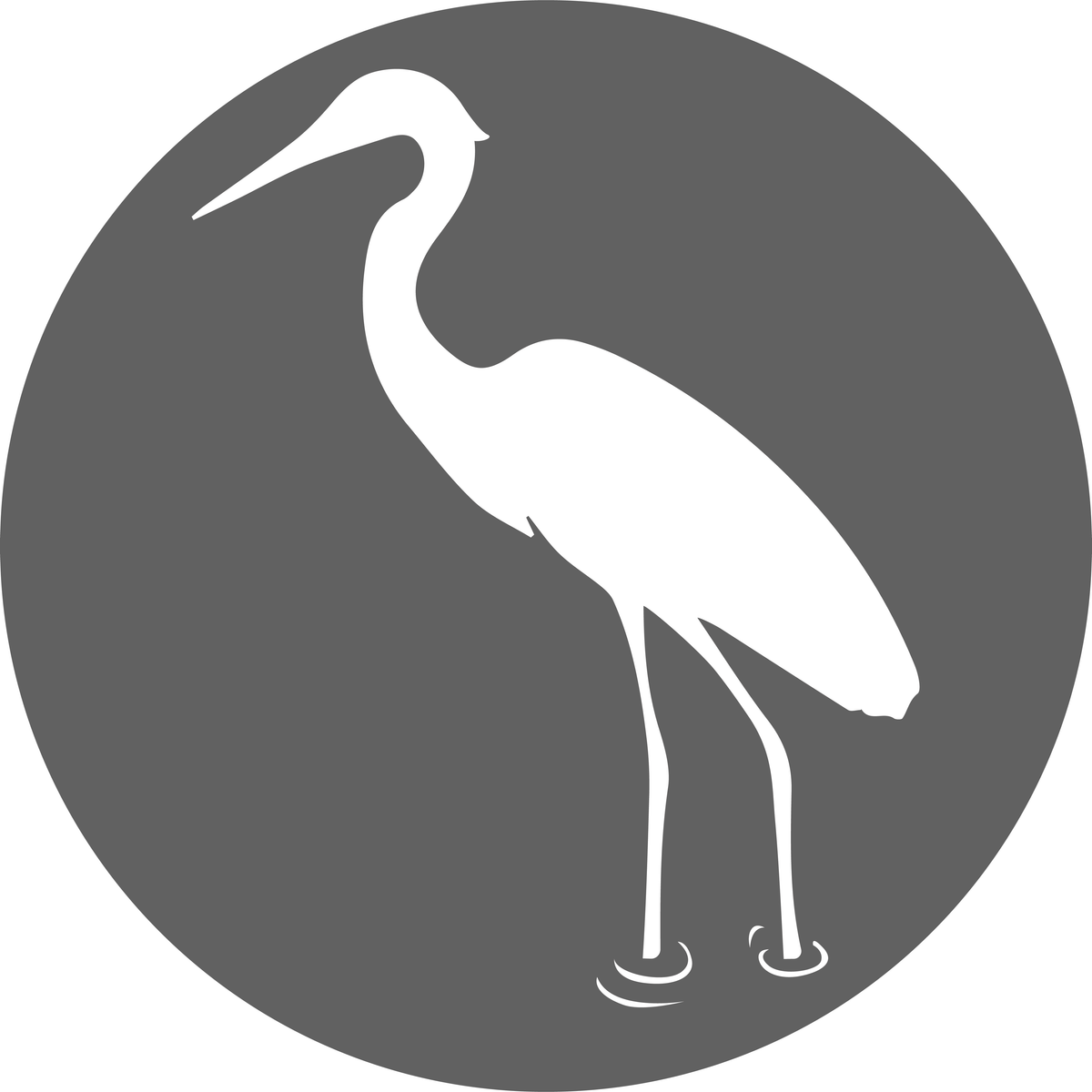 15 Foods That Boost the Immune System – Wey Dining